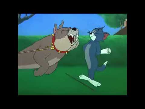 Spike Barking at Tom for 10 Hours - YouTube