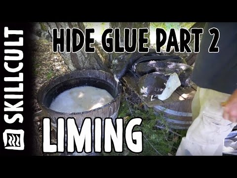 Quality Hide Glue From Scratch #3: Liming the Hide - YouTube