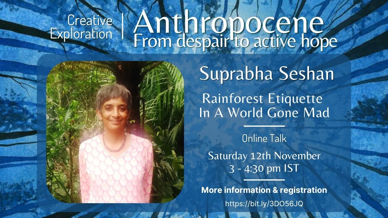 Suprabha Seshan - Rainforest Etiquette in a world gone mad - YouTube