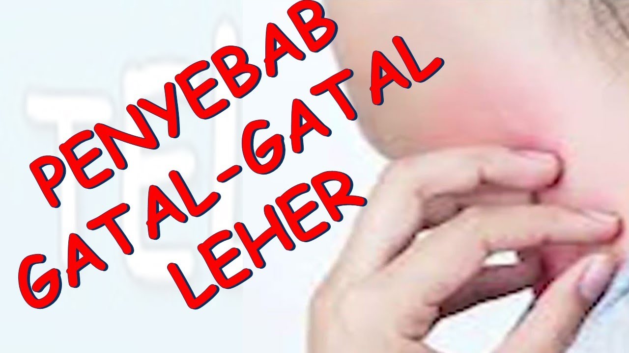 Penyebab Gatal-Gatal Leher Merah Berair - YouTube