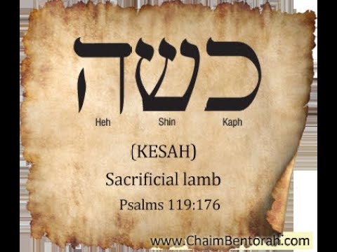 THE LAMB &THE LION Isaiah31:1-9 Hosea 5:1-16 TURN TO YAHWEH EL SHADDAI ...