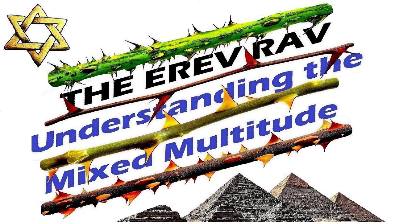 EREV RAV: Understanding the Mixed Multitude of Non-Jews who left Egypt ...