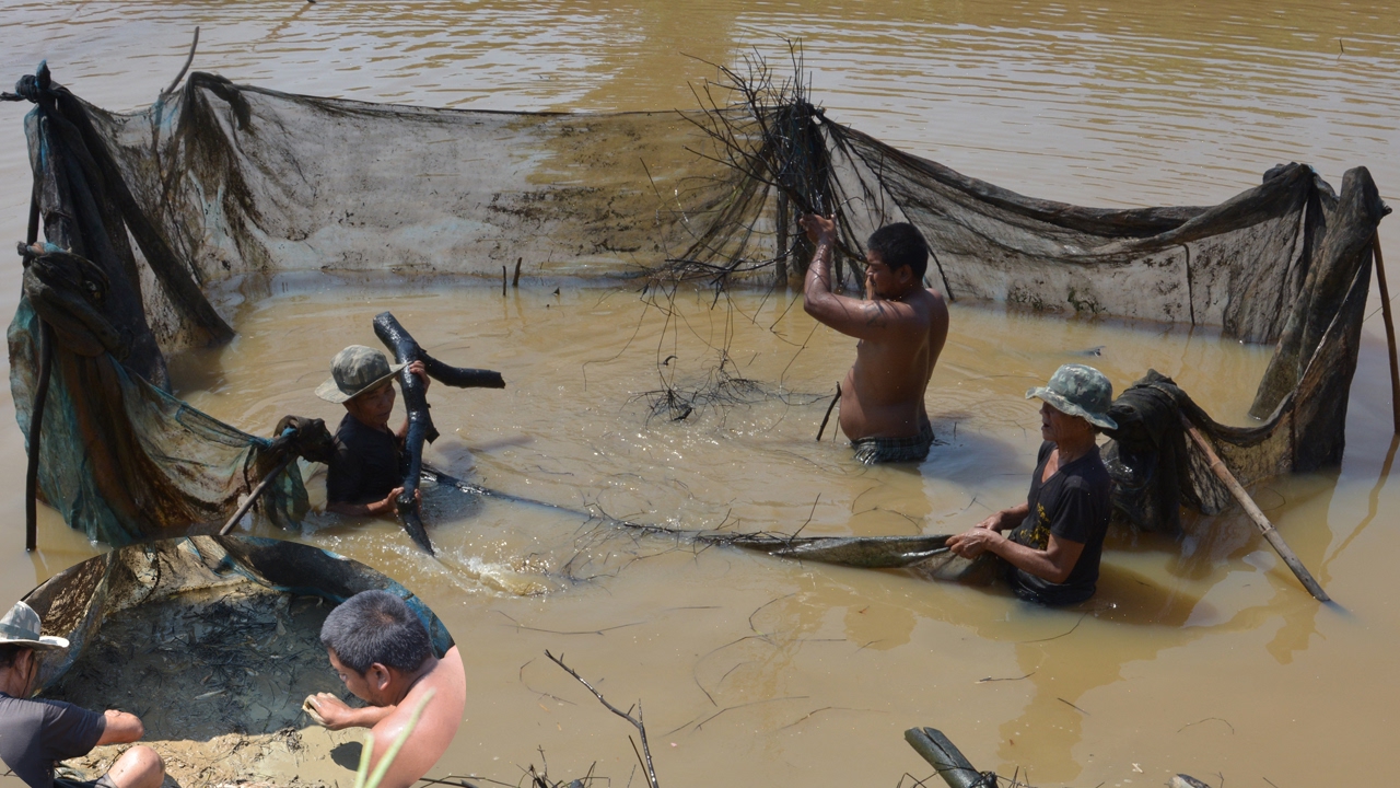 หาปลาโดยการดักตาข่ายไว้ 3 วัน (ใส่เย๊าะ) fishing | Che Chef - YouTube