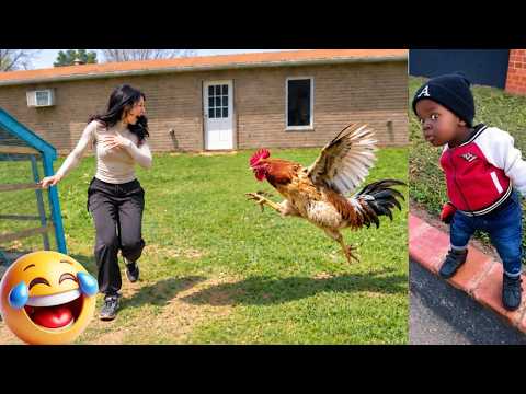 Try Not To Laugh 😂 The Funniest Videos You’ll See Today