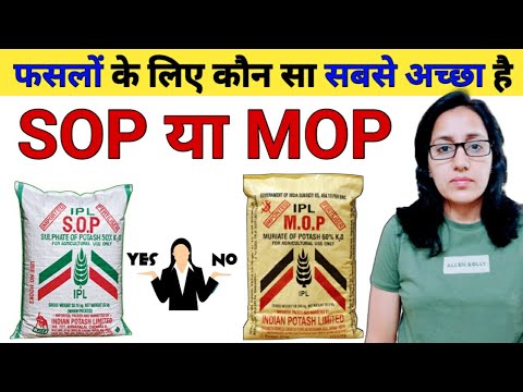 SOP Fertilizer | MOP Fertilizer | Sulphate of Potash | muriate of ...