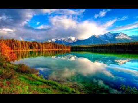 Niyameddin Musayev - Qərənfil güllər