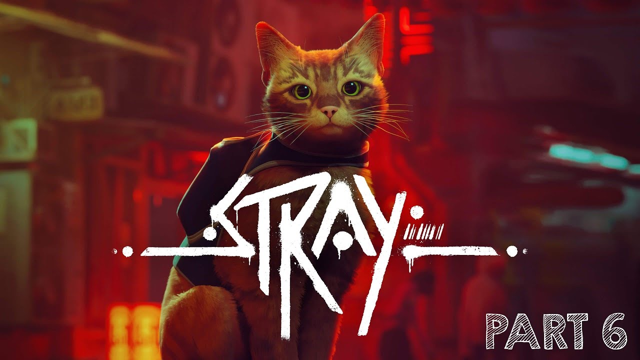 Stray Gameplay - Part 6 (Ending + Credits) - YouTube