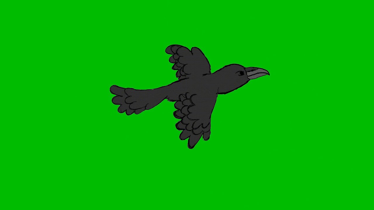 Hiệu ứng chim bay nền xanh ghép video - YouTube