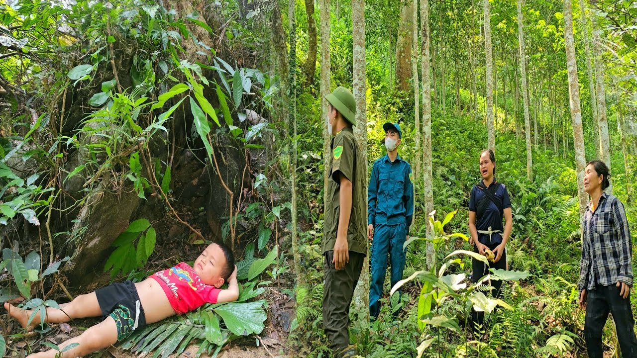 Single mother : Efforts to find the lost child in the forest, local ...
