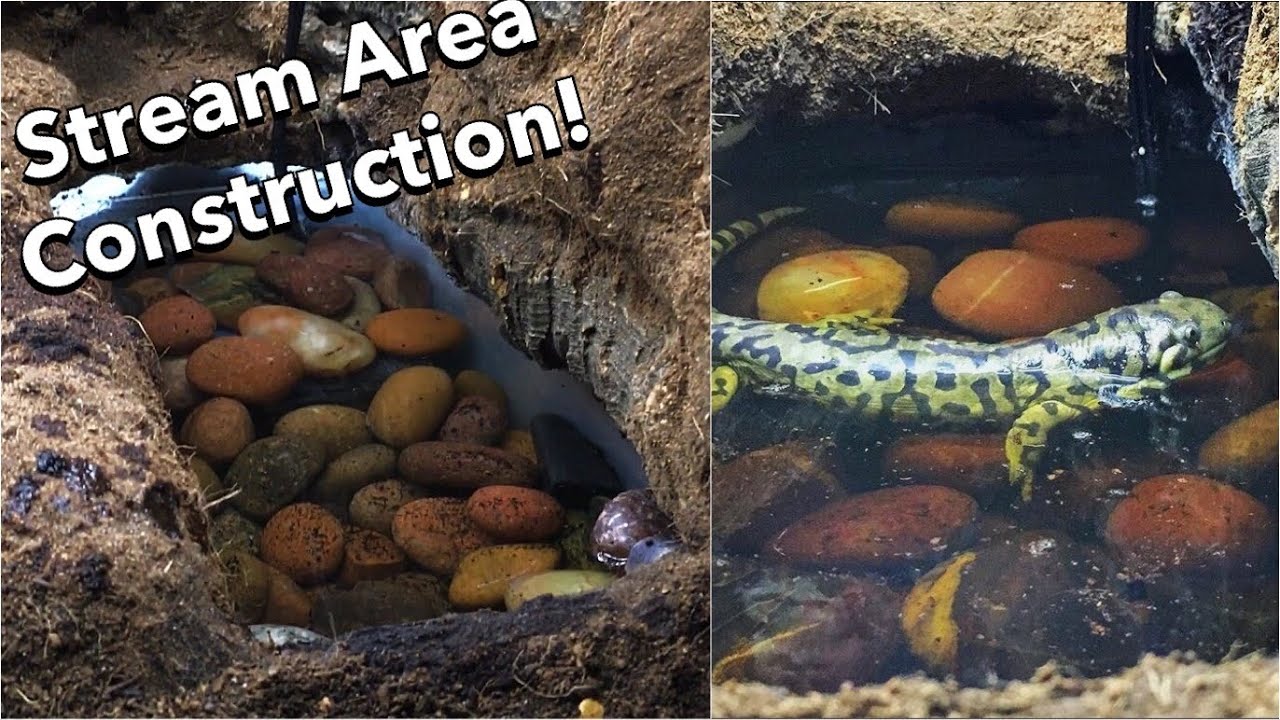 Constructing Stream Areas in My Bioactive Enclosures - YouTube