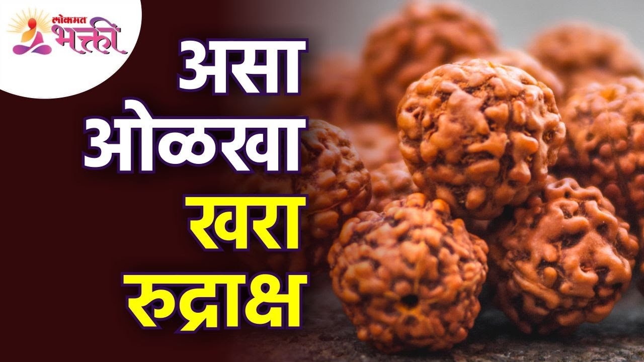 खरा रुद्राक्ष कसा ओळखावा? How to know real Rudraksh? Rudraksh ...