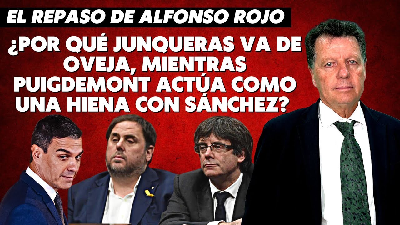 Alfonso Rojo: ¿Por qué Junqueras va de oveja, mientras Puigdemont actúa ...