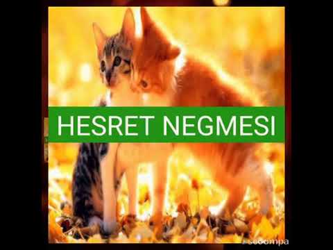 Nigar Muharrem - Hasret Negmesi