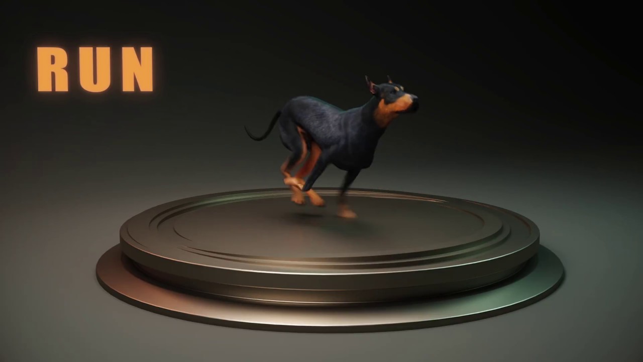 Dog Trot and Run 3D Animation - YouTube