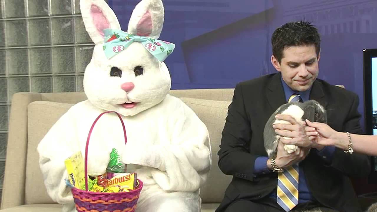 The 6 Foot Rabbit and the Unhappy Hare - YouTube