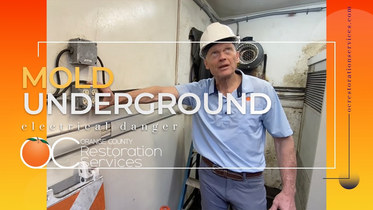 Water and Mold in Underground Telecommunications Vault. Electrical ...