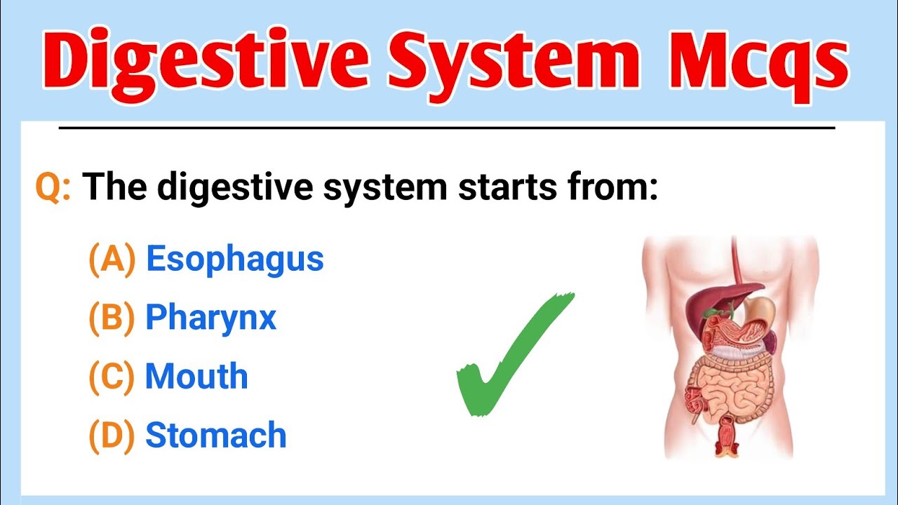 Digestive System Mcq || Human digestive system mcq || Nursing & Medical ...