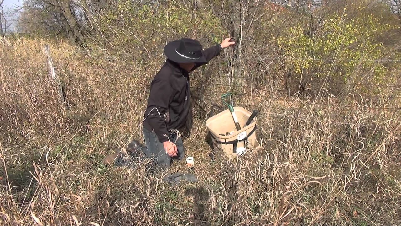 Trapping with coon cuffs with Royce Teague - YouTube