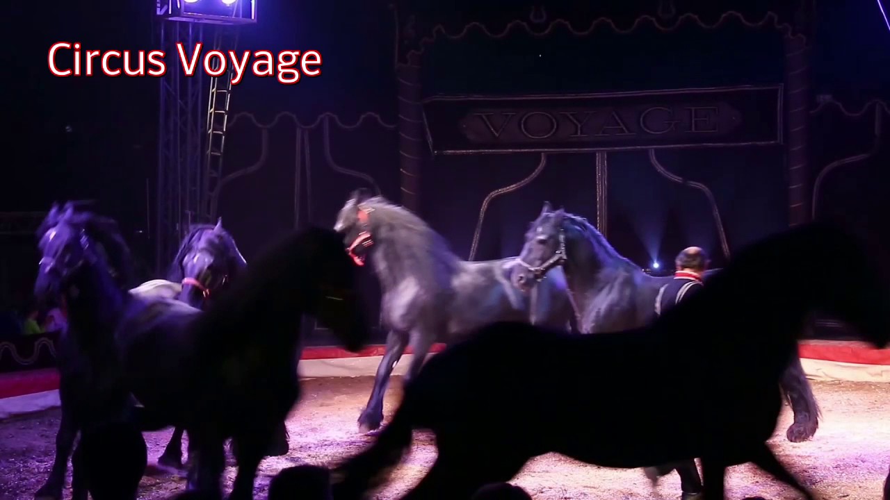 Circus Voyage 2017 Spot Vers1.0 - YouTube