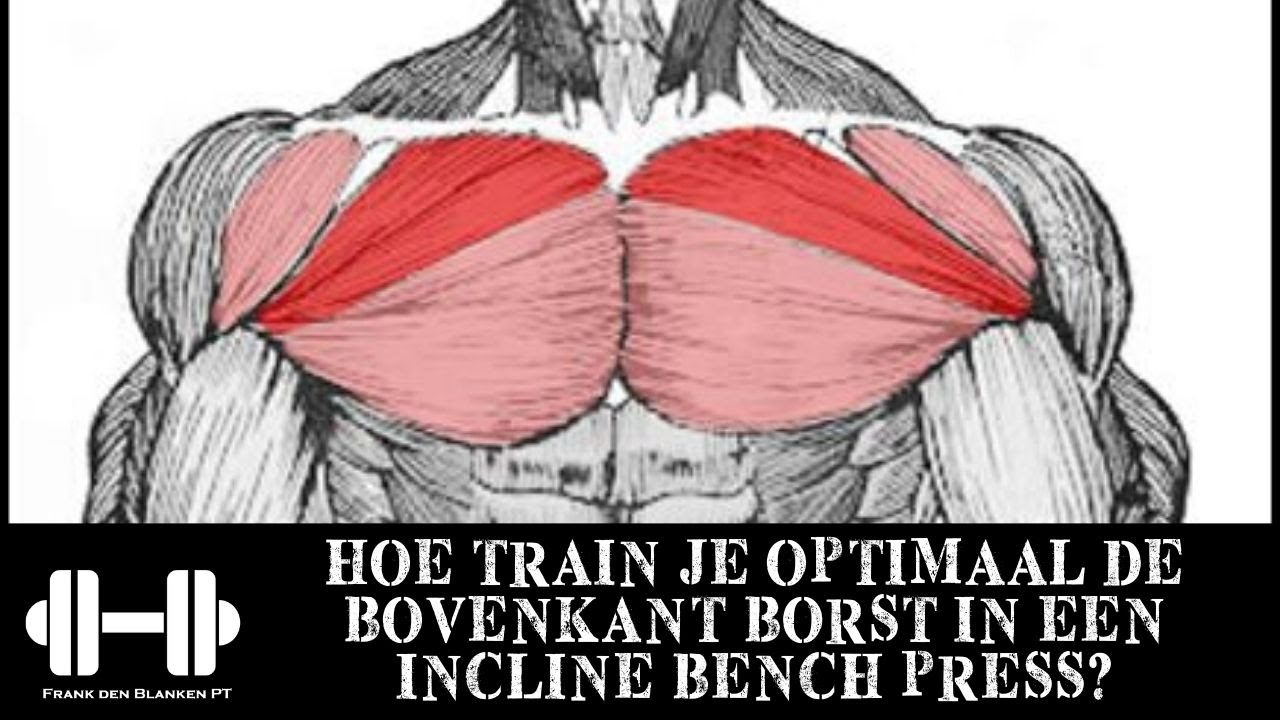 HOE TRAIN JE OPTIMAAL DE BOVENKANT VAN JE BORST OP EEN INCLINE BENCH ...