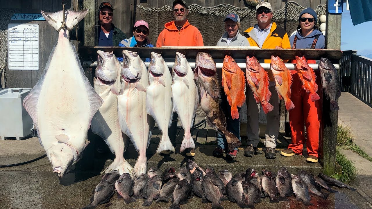 DRIFTWOOD CHARTERS COMBO MANIA - Multi Species Fishing Trips out of ...
