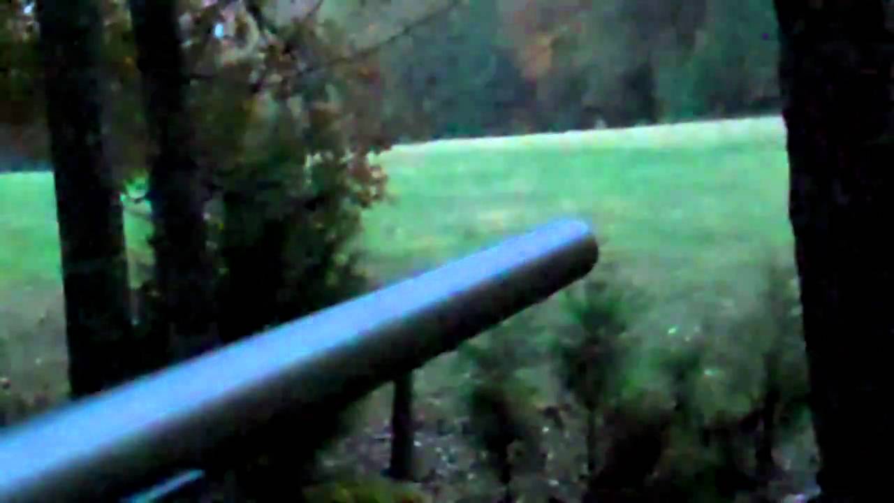 Deer Hunt during the Rut in North Carolina during muzzleloading season ...