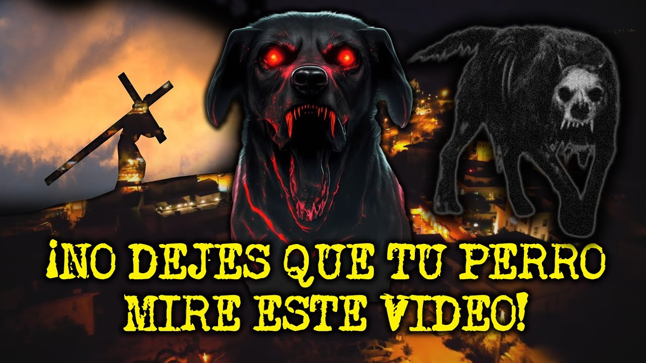 NO ESCUCHES ESTE VIDEO JUNTO A TU PERRO O ALGO PASARA - EL PERRO QUE ...
