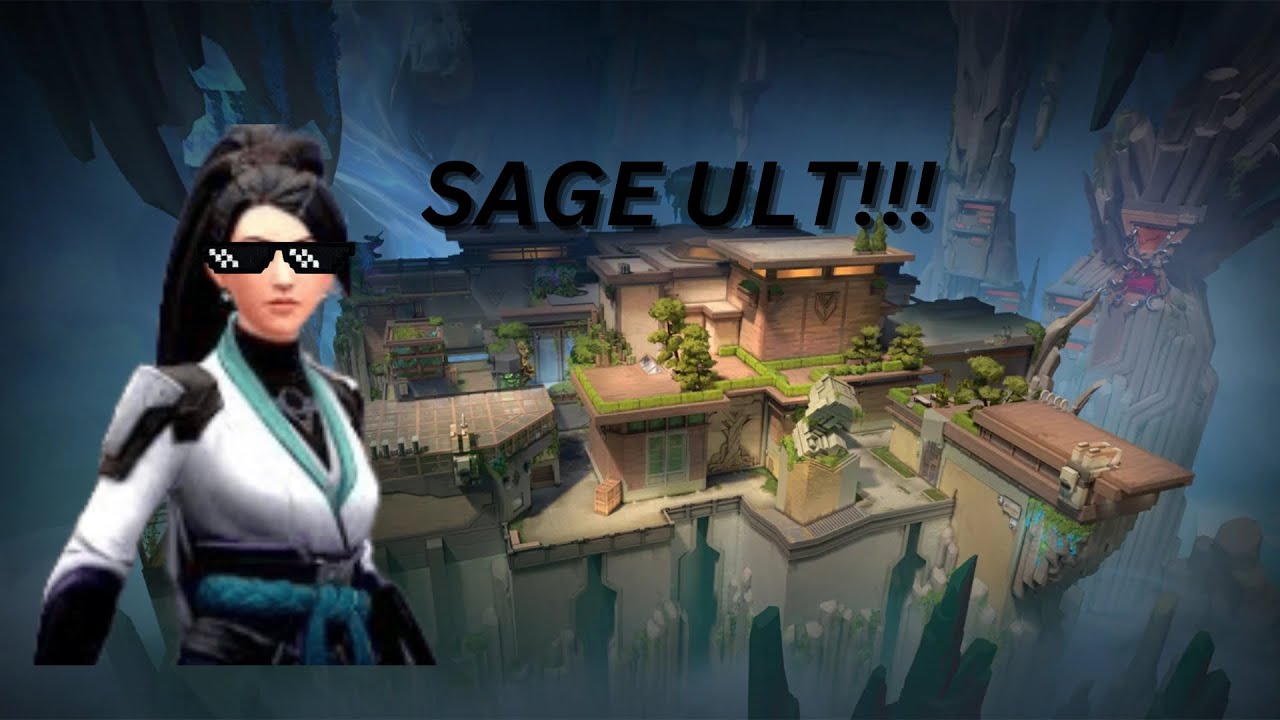 MY SAGE ALLY WAS NOT USING ULT!!! - YouTube