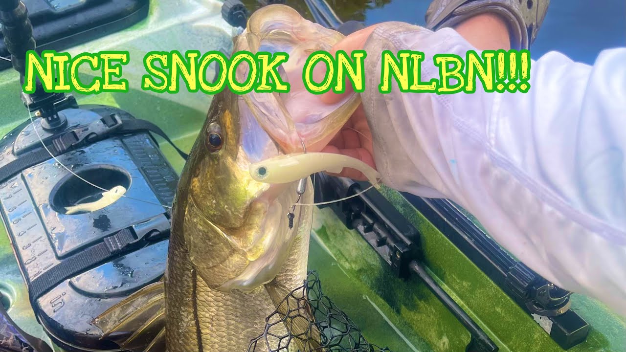 Nice Snook! - YouTube