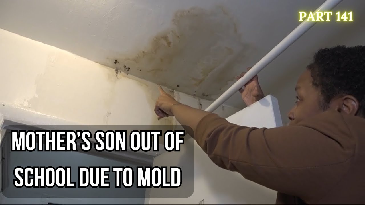 Toxic Mold Exposure Stories: In The Media | PART 141 - YouTube