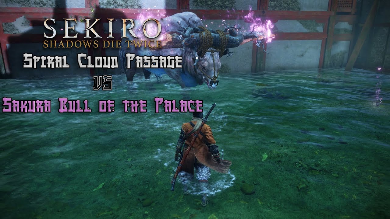 SEKRIO BOSS FIGHT: Spiral Cloud Passage vs Sakura Bull of the palace - YouTube