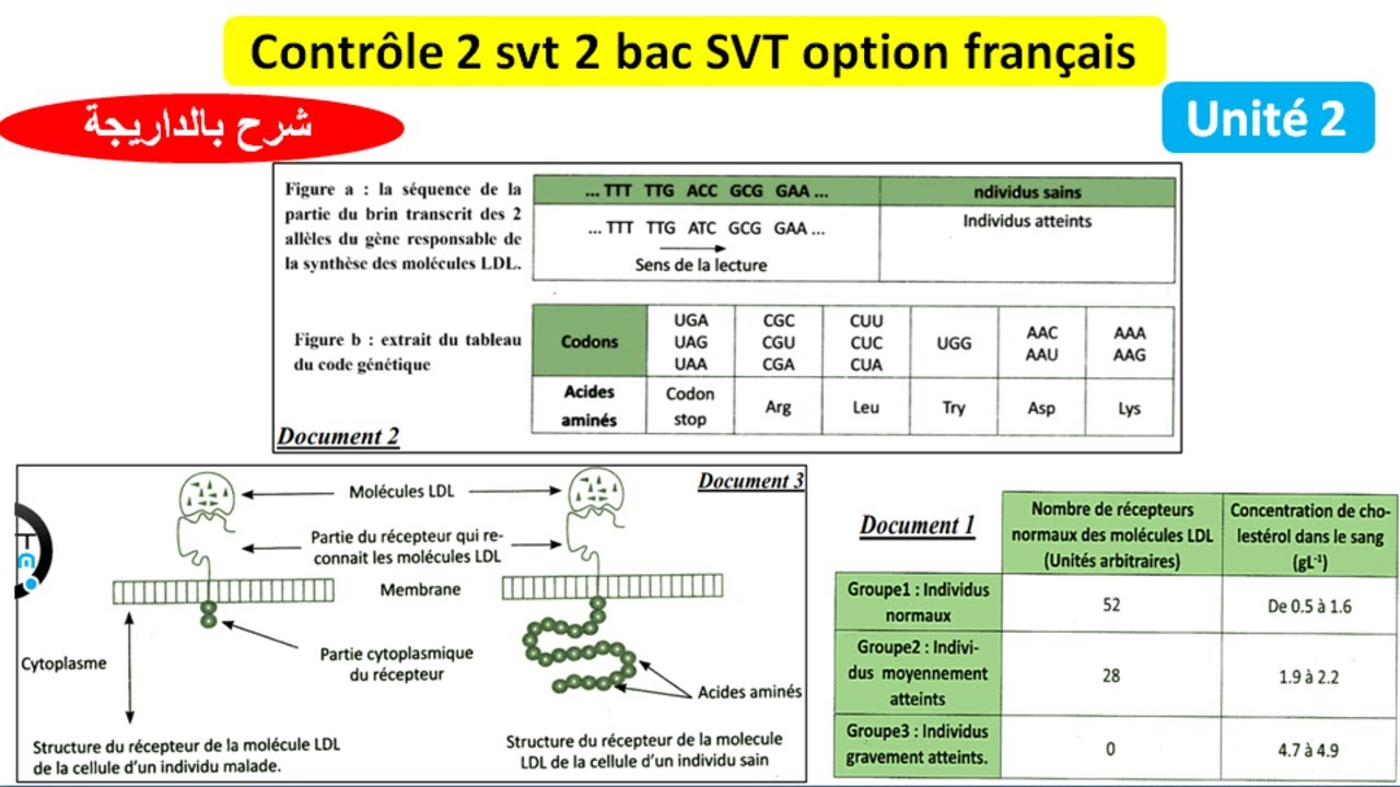 Contrôle 2 svt 2 bac svt option français unité 2 (شرح بالداريجة) - YouTube