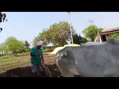 Natural Farming SPNF method - YouTube