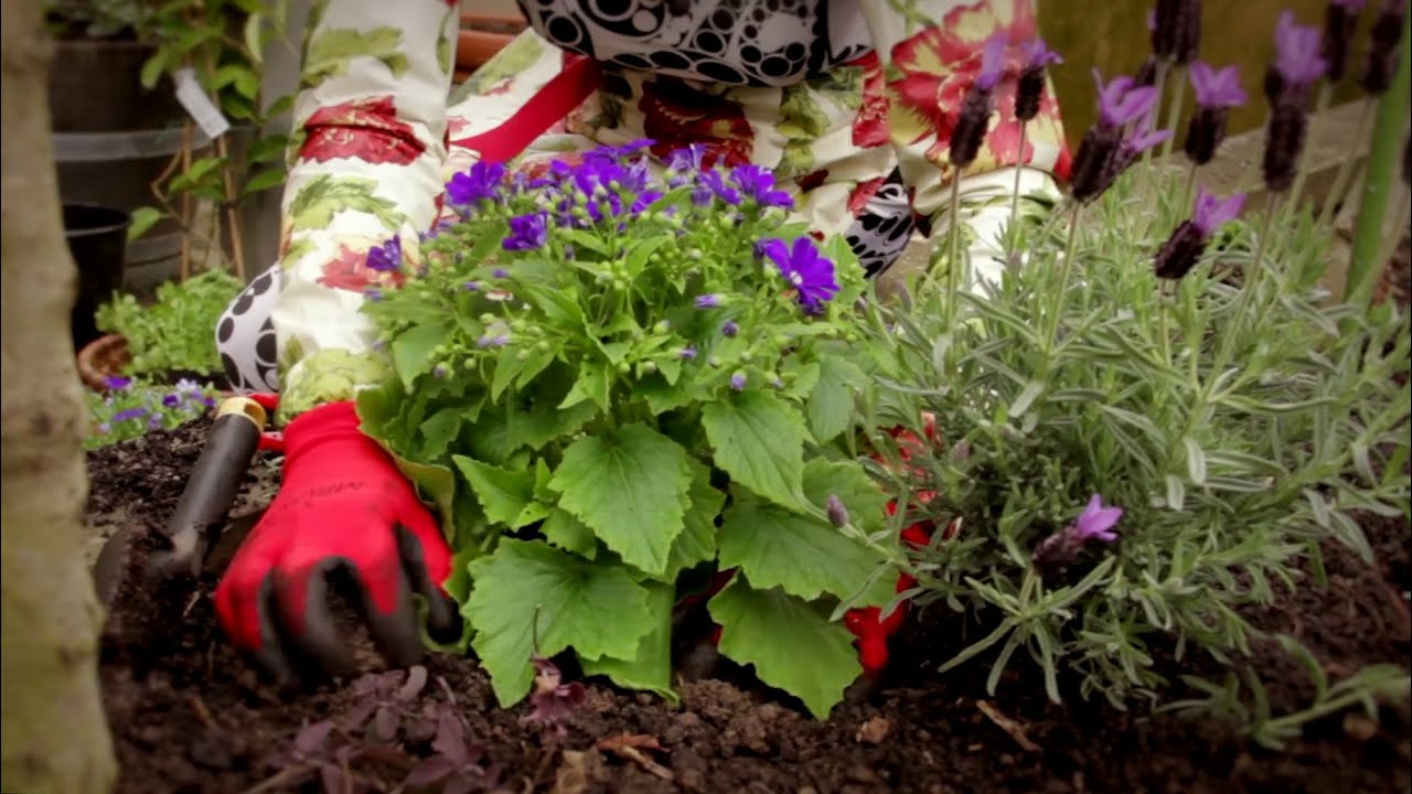 Floristry and Gardening Tutorial: How to Plant Flowers - YouTube