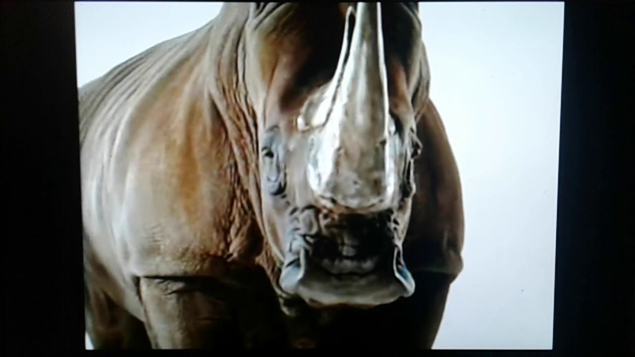 Another Zicam TV Commercial (Dec 2008) x2 (again) - YouTube