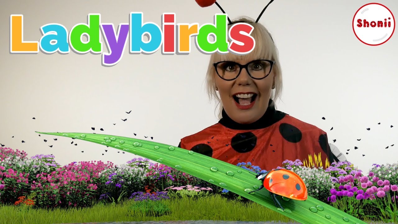 Ladybirds Facts and Fun | Kids Videos - YouTube