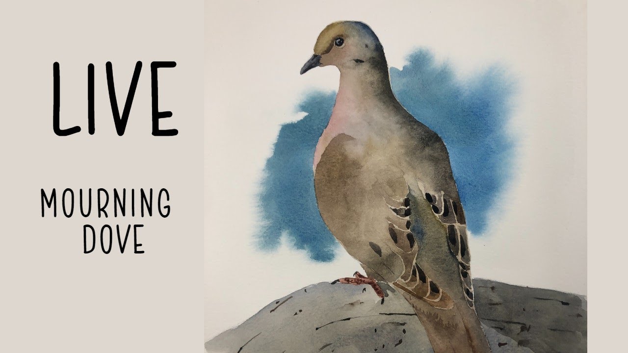 Mourning Dove Painting