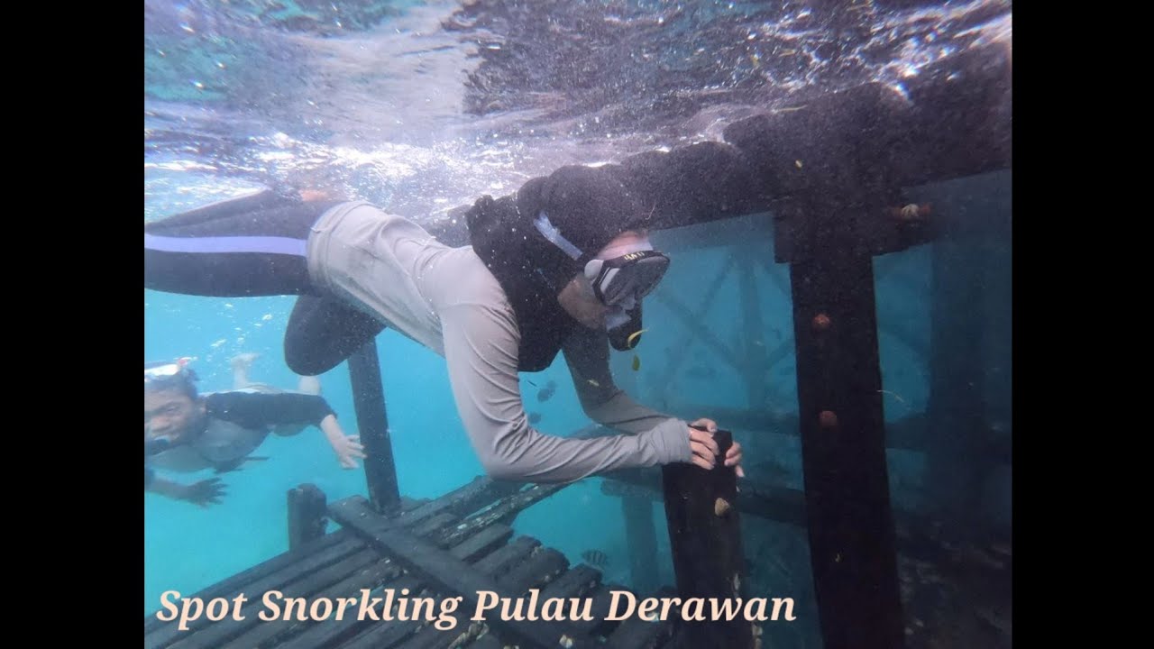 Spot Snorkling Pulau Derawan - YouTube