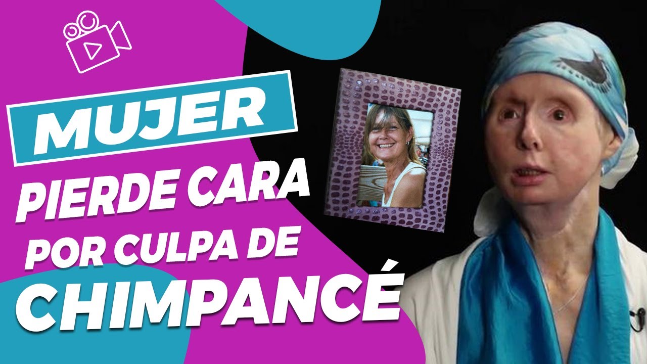 TRAVIS el Chimpancé que AT4CO a una MUJER - YouTube