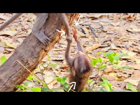 Oh God!!!____ Help me please brother #video #viralvideo #foryou #funny ...