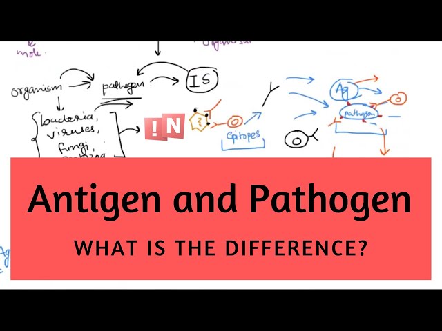 Antigens And Pathogens