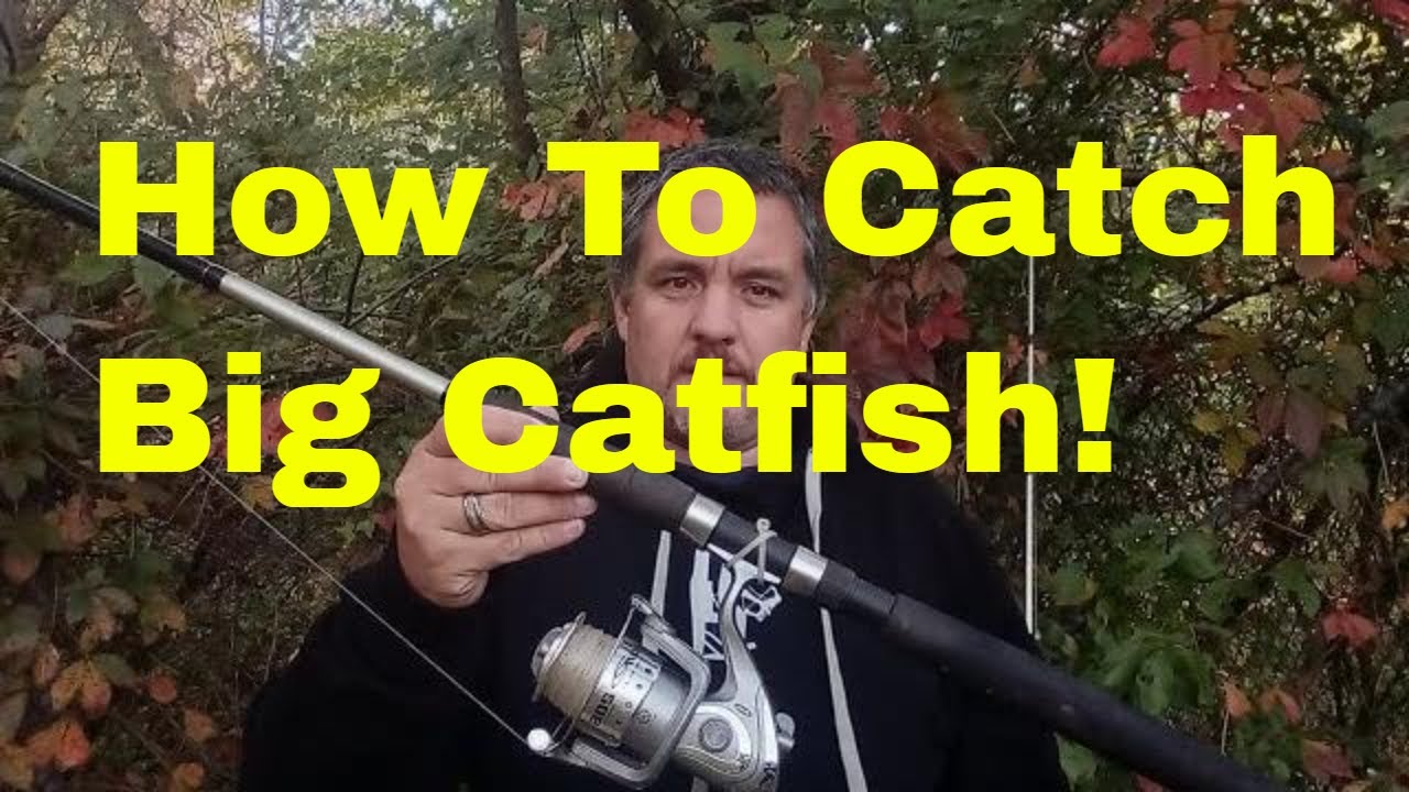 Catch More Catfish With These Top Tips! - YouTube