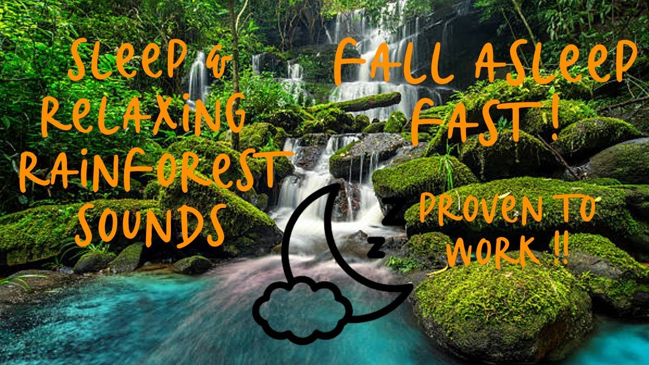 Rainforest Sounds to Sleep or Studying BLACK SCREEN | Rain & Thunder ...