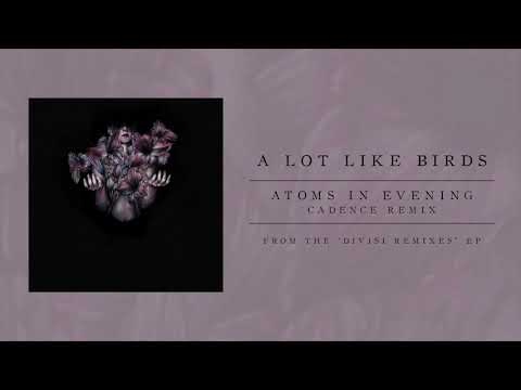 A Lot Like Birds \