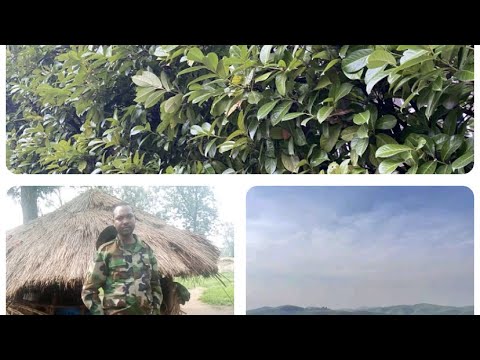 Intambara Le 01 -02-2024 M23 Yamaze Imvange Yabayirwanya Mumisozi Ya ...