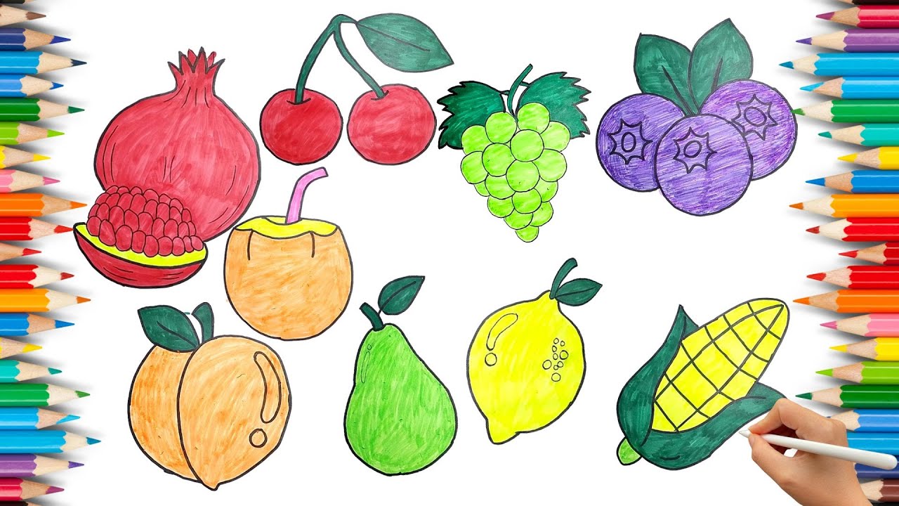 Grapefruit drawing | Grape and 8 more Fruits Drawing | grapefruit ...