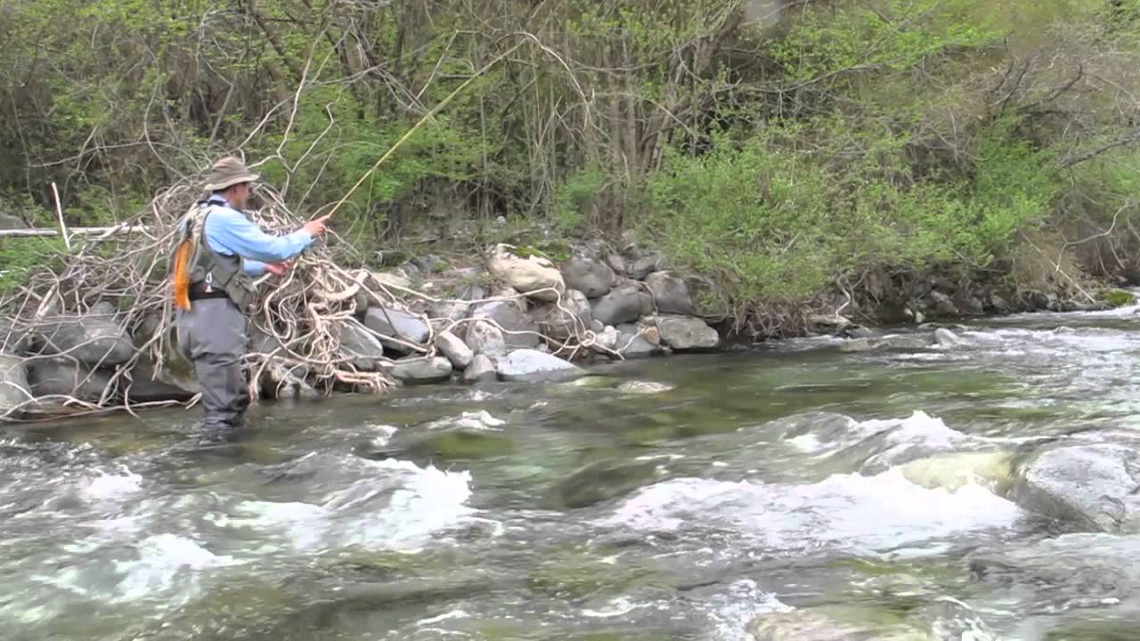 Walking in the Stream.mov - YouTube