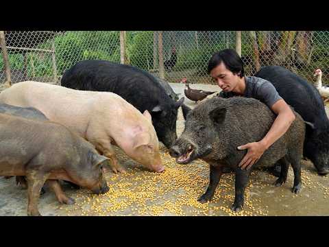 The man built a life in the wilderness and cared for his pets.