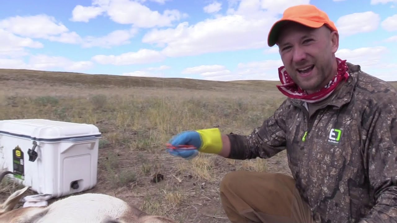 How to Clean Big Game with the Gutless Method - YouTube