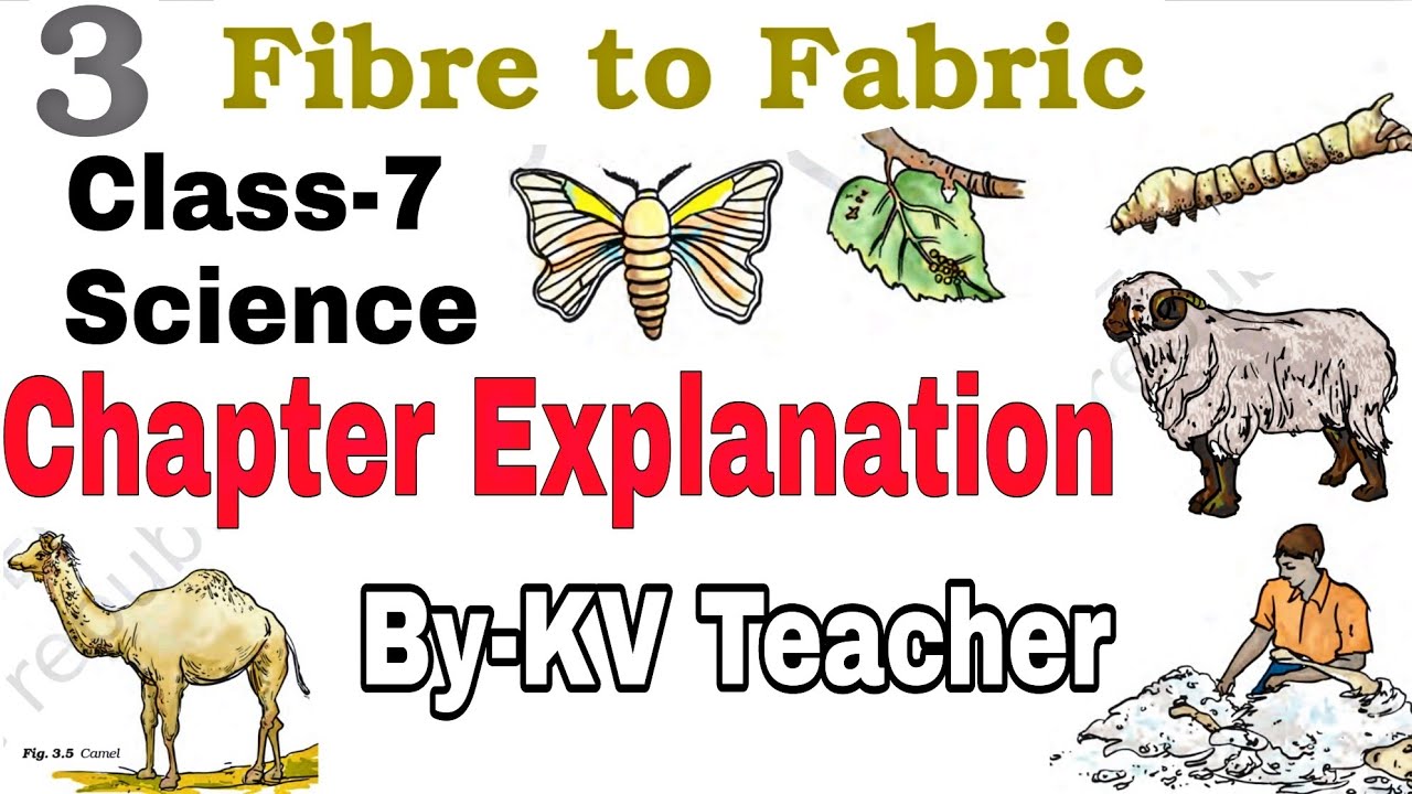 (PART-2) Fibre To Fabric / Class-7 Science NCERT Chapter-3 Explanation ...